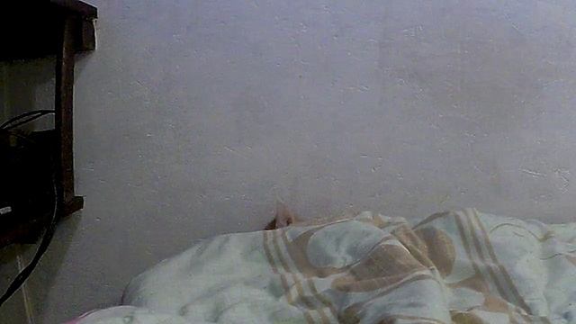 Маленький кот Василий