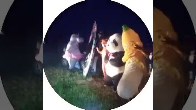 Прокат квадроциклов на Parma Valley #parmavalley #Фестиваль #квадроциклы #automobile #активныйотдых