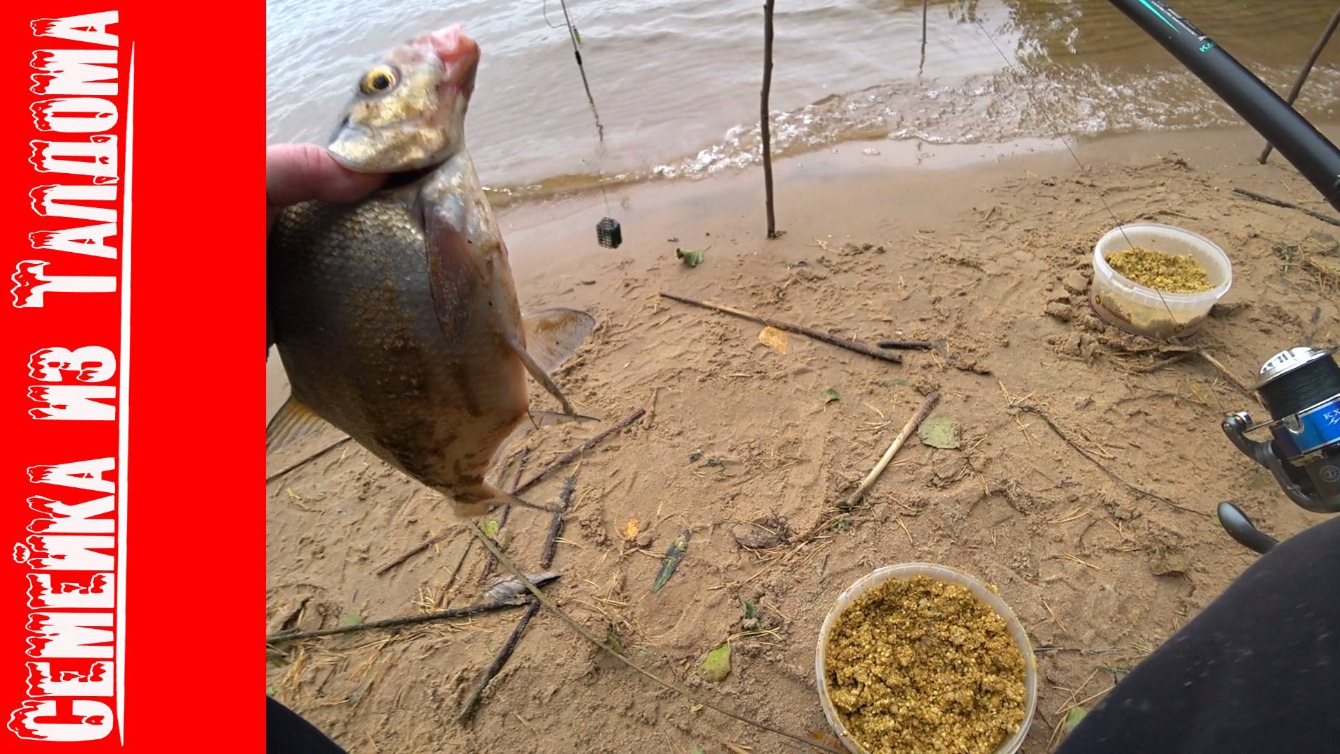 Лещ в октябре на донку