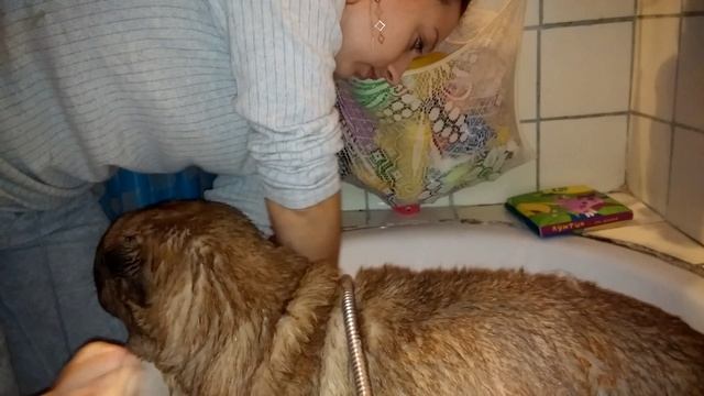 Ксюша с мамой моют Жору (собаку) - 11.01.2017