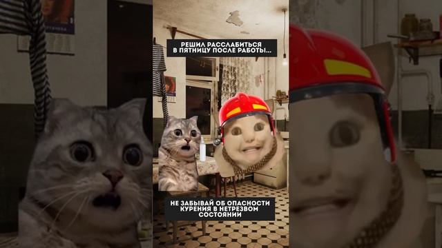 Охрана труда: опасность курения и алкоголя, мем с котиками #shorts #catmemes