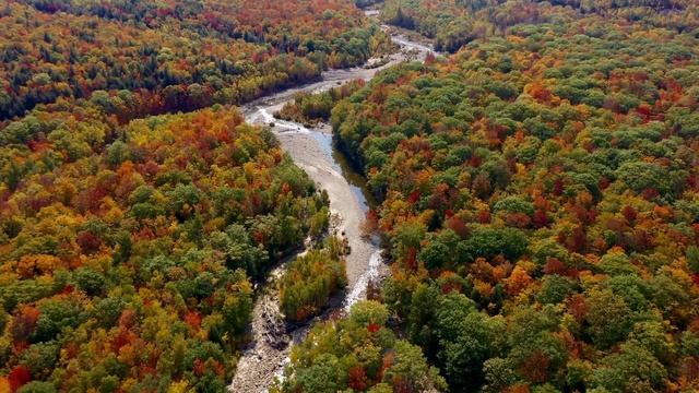 Беспилотники - это не всегда страшно