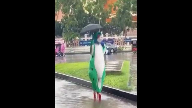 "Неведома зверушка, эта царевна-лягушка" (ГуЦинь) СветЛана Павлова