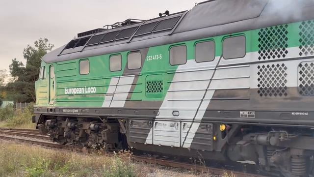 Красавица "Людмила" ТЭ109 с вагонами для перевозки шпал