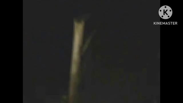 Slenderman sightings 1996 entry 2-6