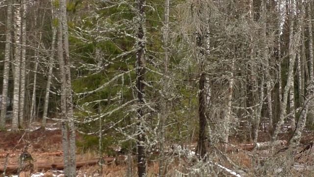 20 марта 2020год.