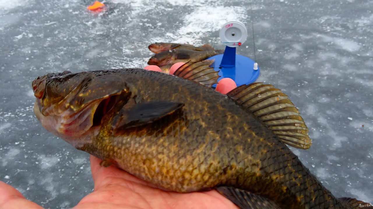ПЕРВЫЙ ЛЕД! ЧУДОВИЩНЫЕ РОТАНЫ ЗАГИБАЮТ КИВКИ И ЗАЖИГАЮТ ФЛАЖКИ НЕ ХУЖЕ ЩУКИ!