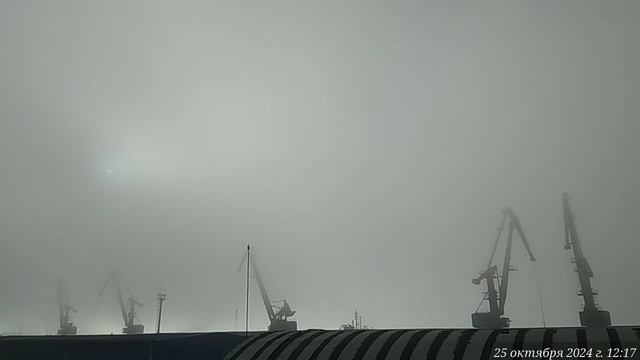 Густой туман в полдень