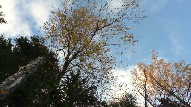 Осень.Мальгозеро.