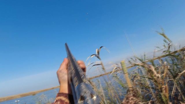 ОХОТА УТКА КОНЕЦ ОКТЯБРЯ