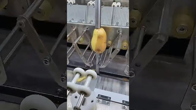 Potato Peeling Process #shorts