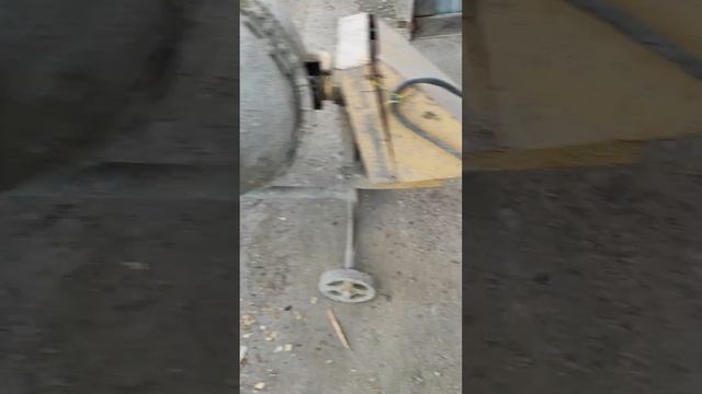 эксперимент по окраске щепы