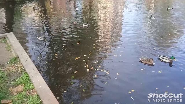 Прекрасный день!