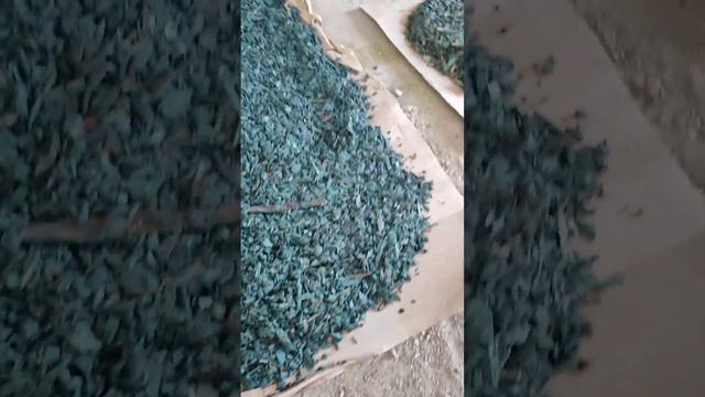 эксперименты с окраской щепы - мульча своими руками