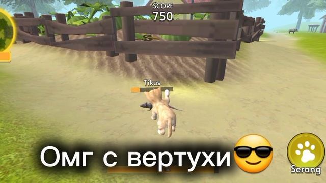 Обзор на игру "Oyen Simulator Kucing 3D"