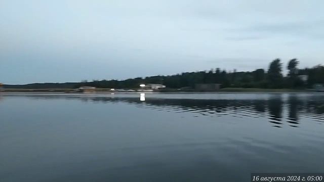 "Вольк"