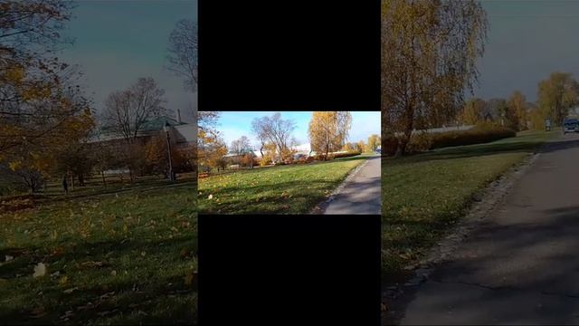 парк Царицыно