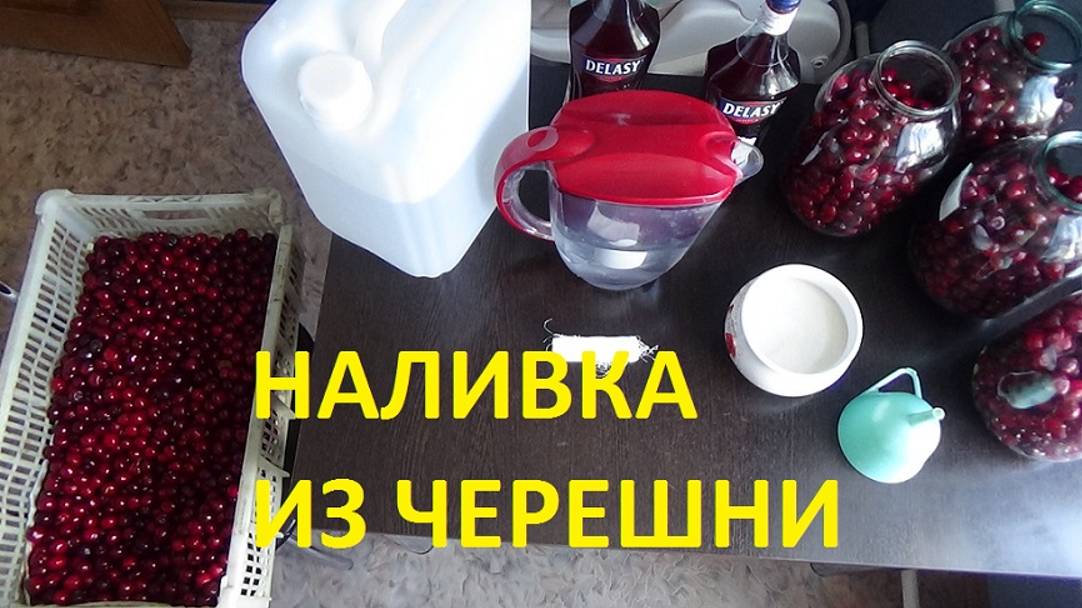 Наливка из черешни. Настойка из красной черешни