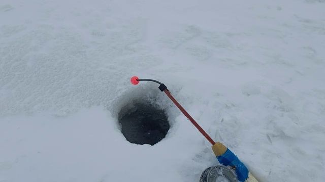 карелия ладога