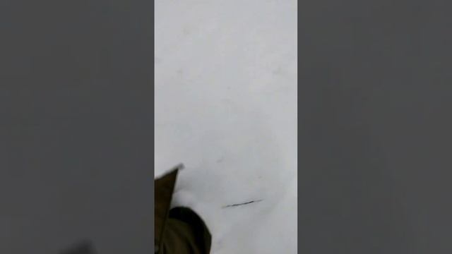 Квадроцикл против СНЕГА #квадроцикл #мототехника #suzuki #750 #king