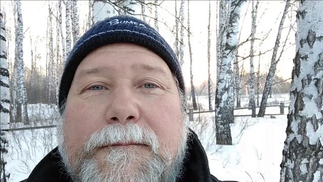 Сова Неясыть. Утренняя гостья