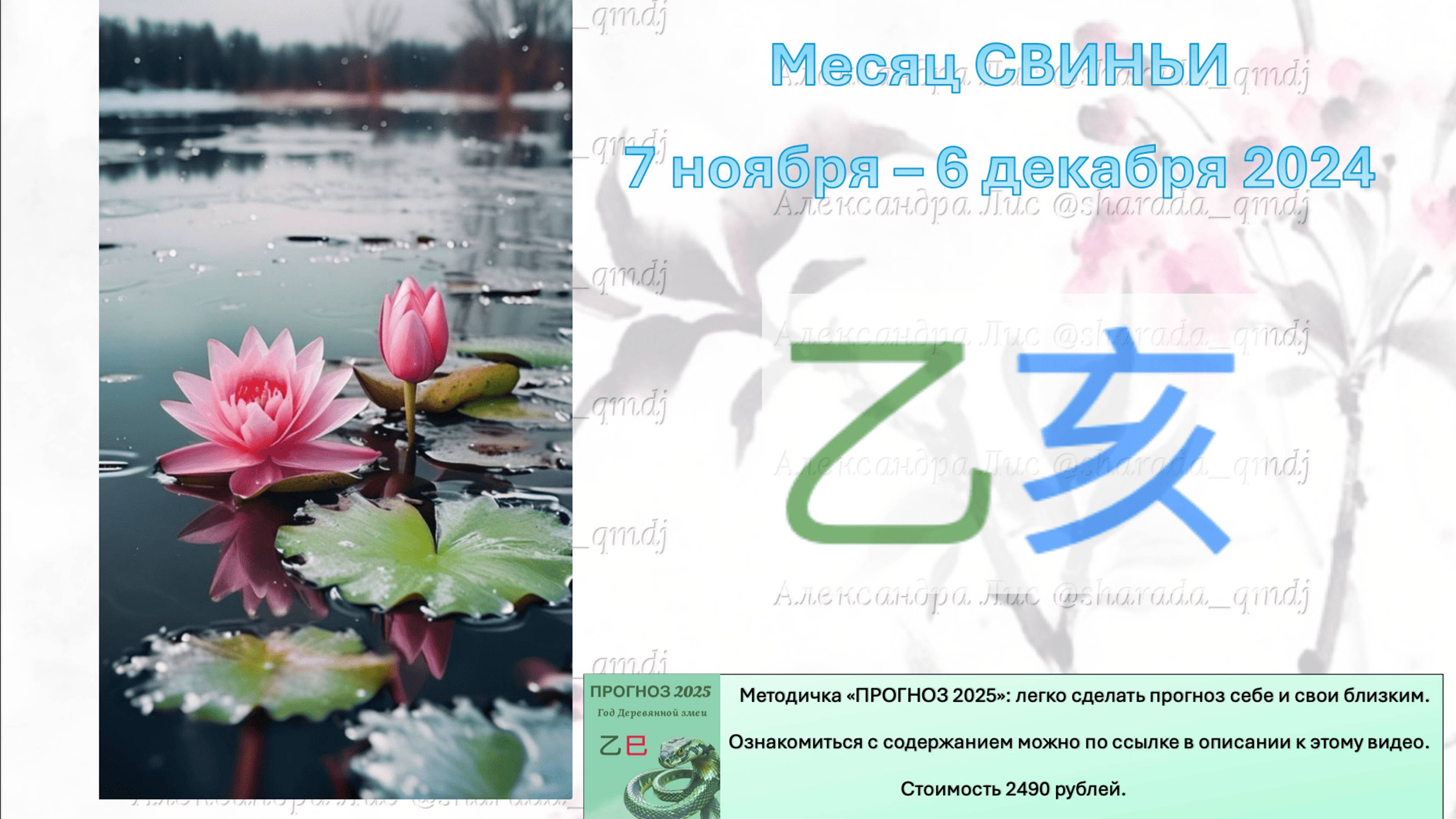 ПРОГНОЗ НОЯБРЬ 2024: РАЗГОНЯЕМСЯ