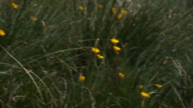 DSCN2175Джилы су. Обзорная экскурсия