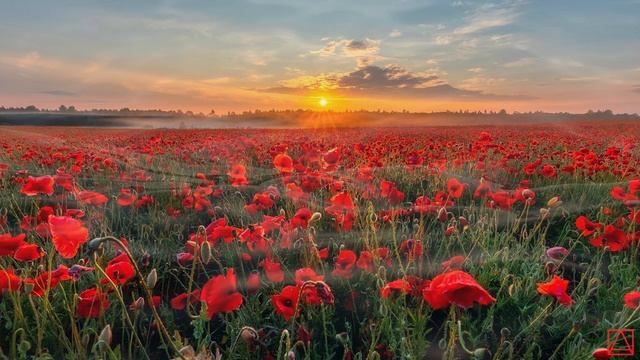 Прп. Авва Дорофей КАК ВОЗРАСТАТЬ ДУХОВНО НА КАЖДЫЙ ДЕНЬ НЕДЕЛИ суббота