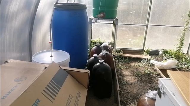 ОГОРОД! Грядка под посадку озимого чеснока, что с моей теплицей🥺26-10-2024