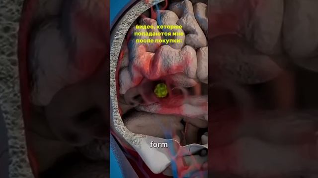 Да ладно, куплю сумочку, а зуб вылечу потом / юмор