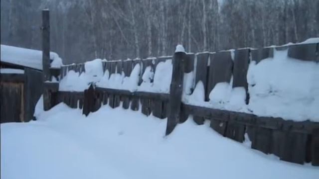 Очень снежный день в Сибири.  Very snowy day in Siberia