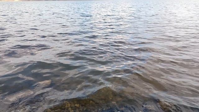 Река  💦 Успокаивающие волны: Релакс для души 🌊