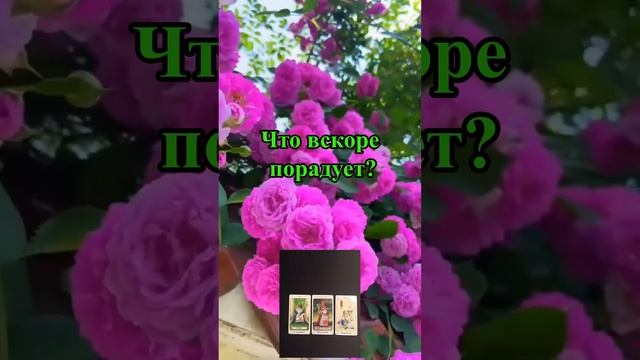 Причины для радости найдутся.