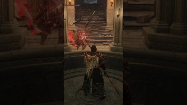 Ошибка Пингачка №5 (Elden Ring)