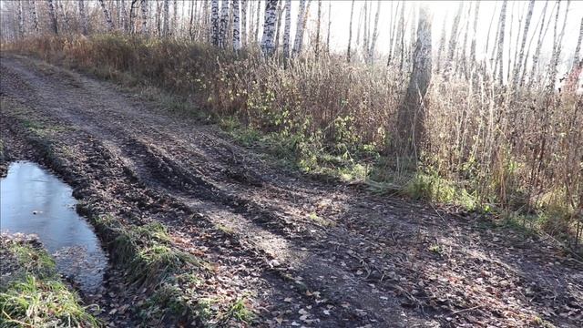 Аномально теплый октябрь в Западной Сибири