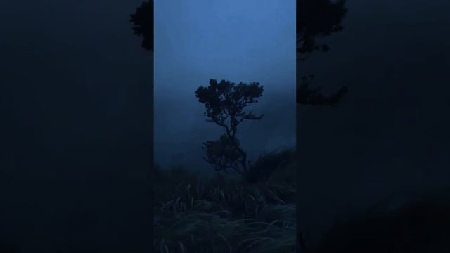 Очень мощно дует, что прям холодно | LAST EMPIRE - Una Mattina