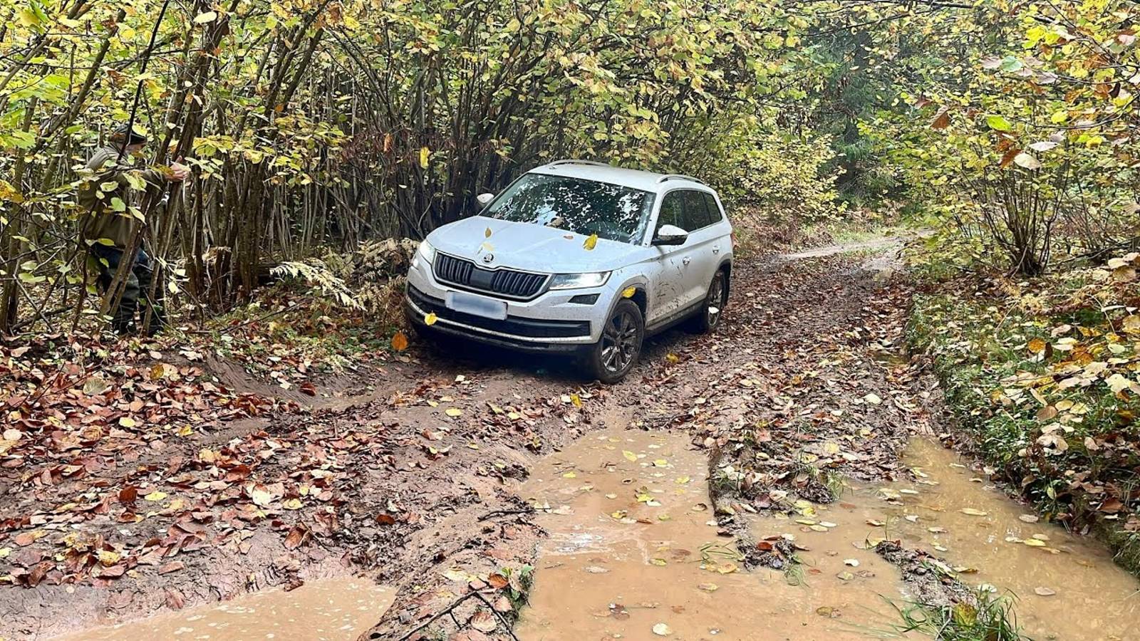 ЛЕТАЮЩИЙ RENAULT KAPTUR, TANK 500, HAVAL DARGO, SKODA KODIAQ и другие в лесу!