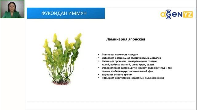 Фукоидан Иммун   Лучшее для Иммунитета