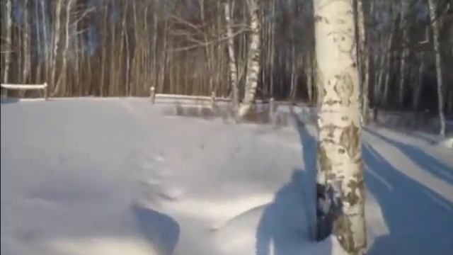 Солнечный, сибирский день.  Sunny, Siberian day
