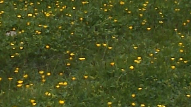 DSCN2178Джилы су. Обзорная экскурсия