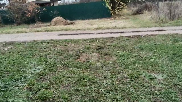 Продажа 15 соток ЛПХ Трехденево Межеван Свет и Газ по границе Борщево Клин АэНБИ ру недвижимость