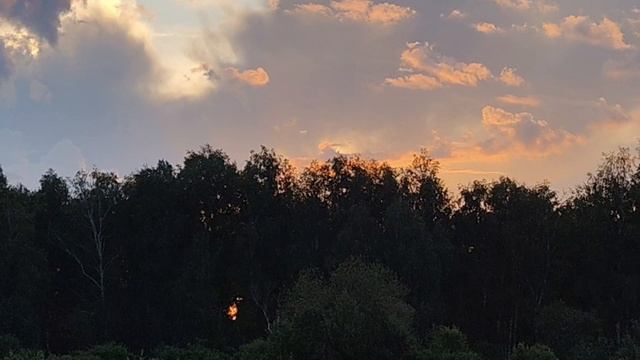 Небесный шафар.