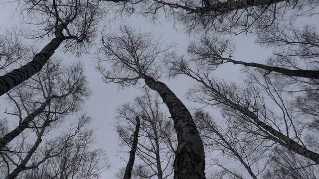 Варган слушать. Шаманская музыка. Освобождает от гнетущих мыслей и состояний