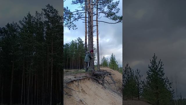 Мини поход, прогулка по лесу     #shorts#