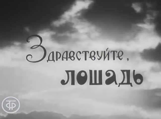 1968г Здравствуйте, лошадь. Документальный Фильм. Починковский конный завод