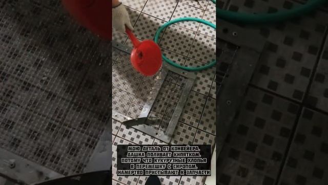 РАБОТА В КОРЕЕ. ЗАВОД ПЕЧЕНЬЯ. ДЕНЬ 15.