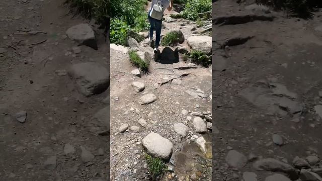 Алмаарасан. Июль 2023