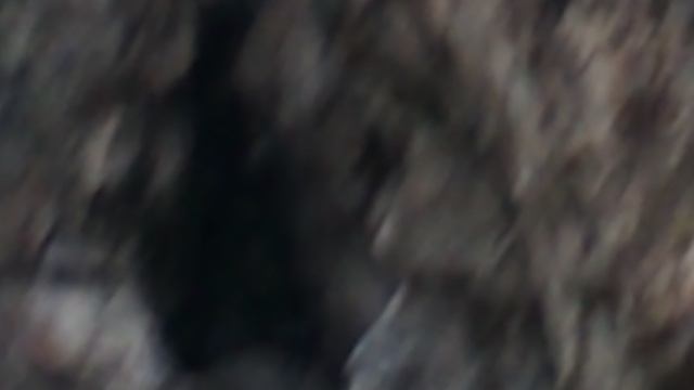 DSCN2190Джилы су. Обзорная экскурсия