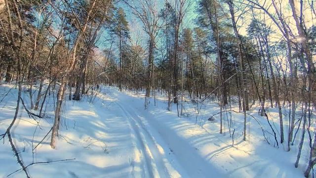 Лыжная прогулка по Хехциру 30.01.2022