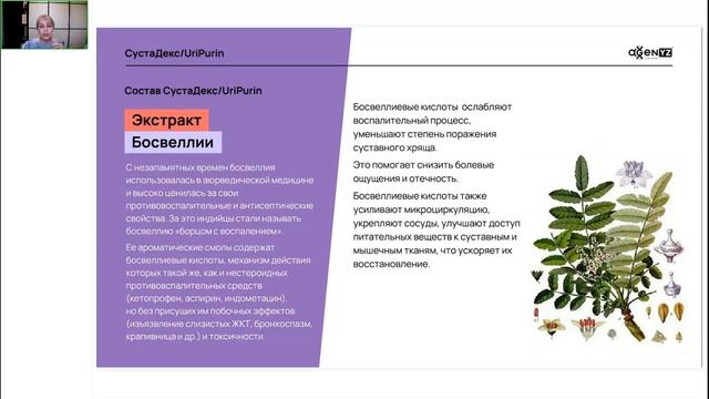 СустаДекс / UriPurin - Лучшее для Суставов